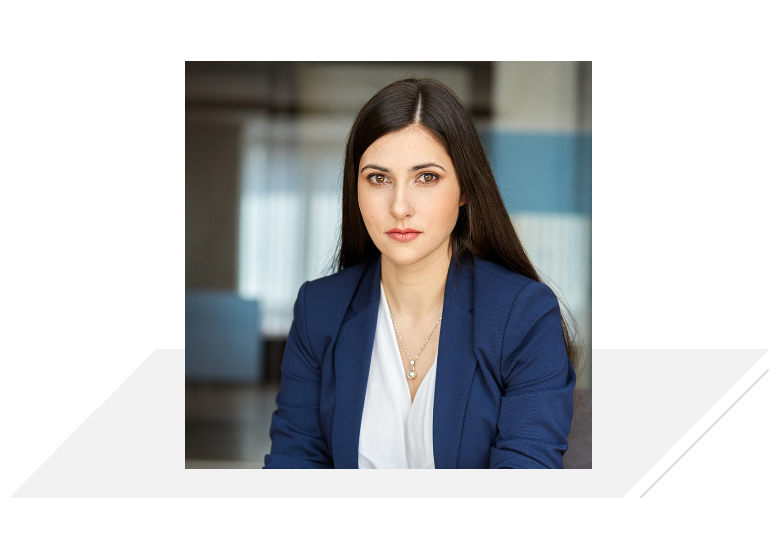 Наглядова рада - UkraineInvest