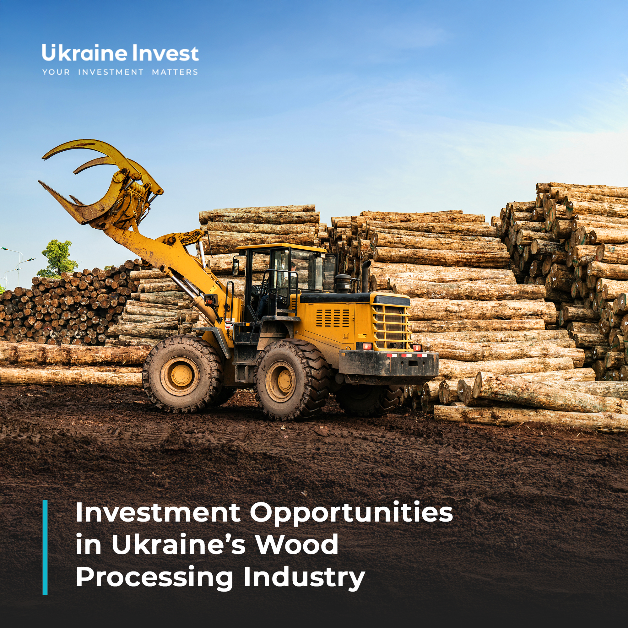 Investment Opportunities in Ukraine’s Wood Processing Industry ...